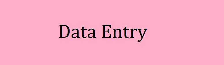 Data Entry/Excel/ Encoding